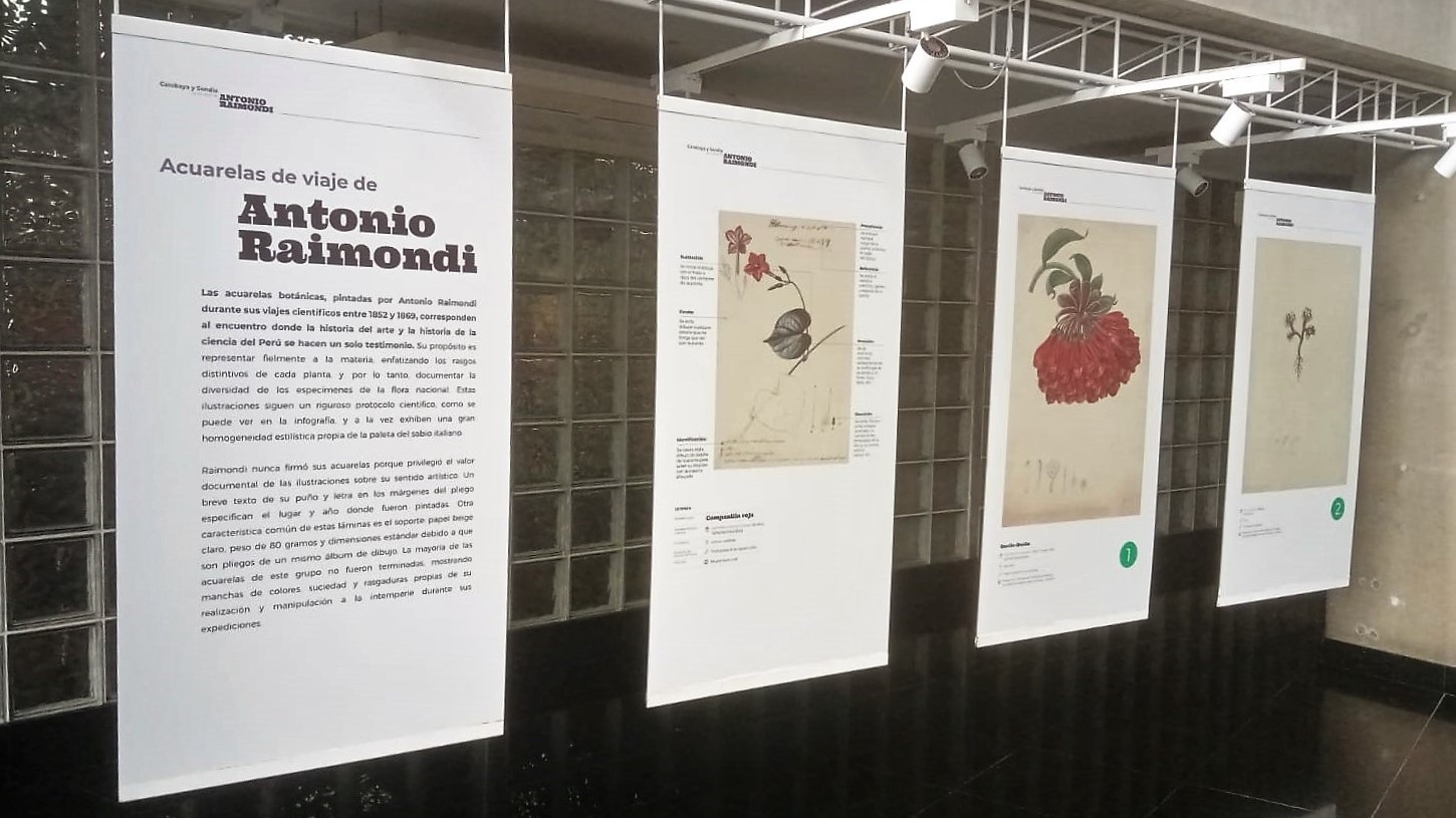 Antonio Raimondi: BNP rinde homenaje al naturalista italiano a 200 años ...